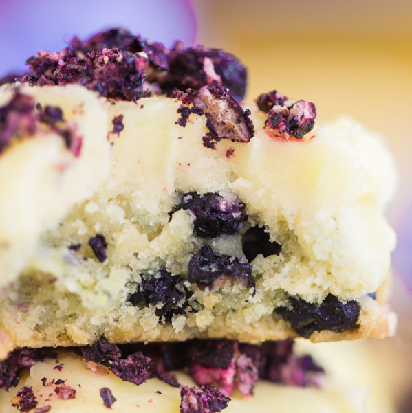 Lemon Blueberry Amish Sugar Cookies • The Gold Lining Girl