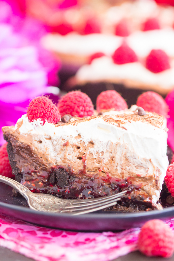 No Bake Raspberry Nutella Pie • The Gold Lining Girl