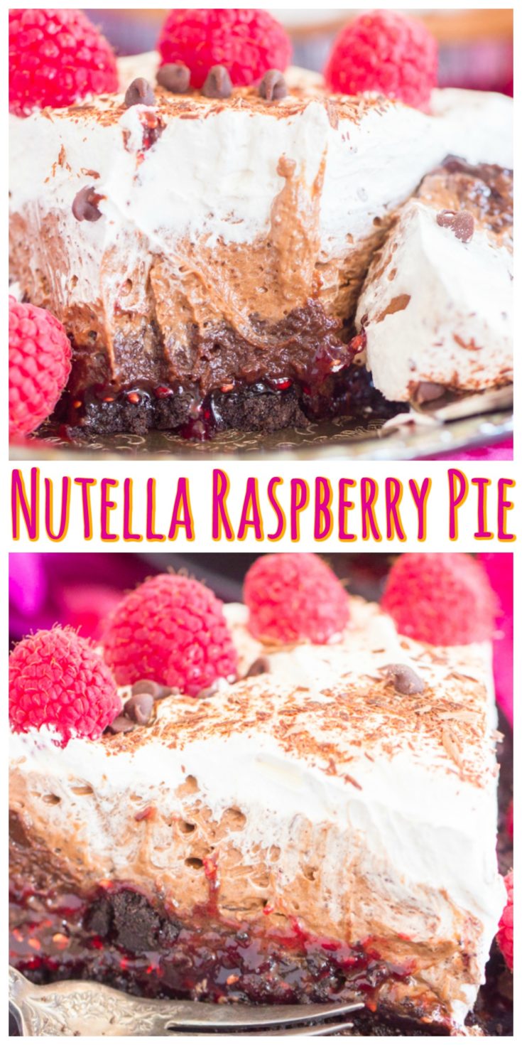 No Bake Raspberry Nutella Pie • The Gold Lining Girl